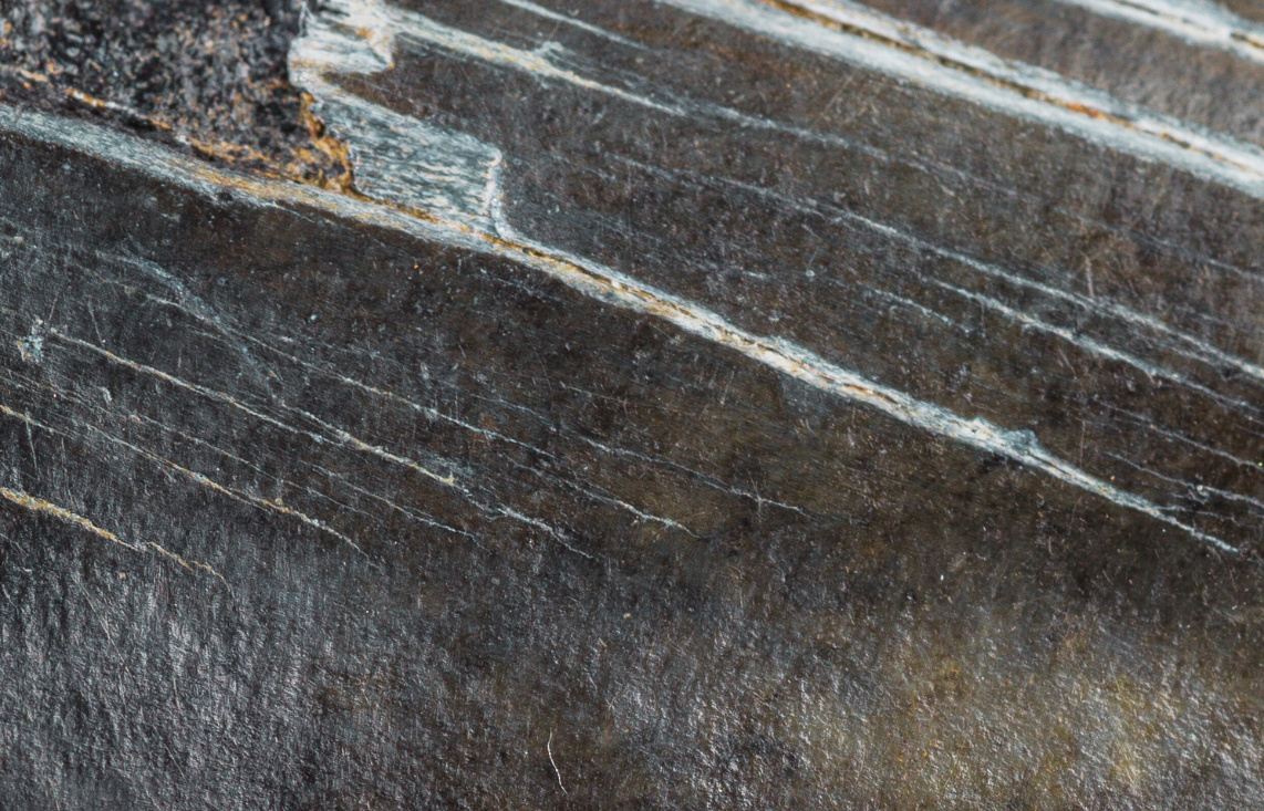 A Guide to Sharks Tooth : Meaning, Properties and Everyday Uses – HAWKHOUSE